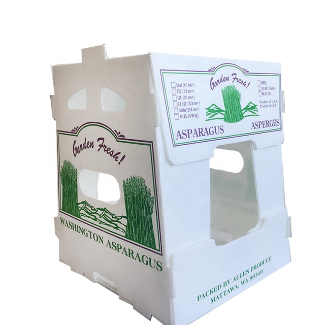 Fresh Asparagus Packing Box in Coroplast Material, Search Fresh ...