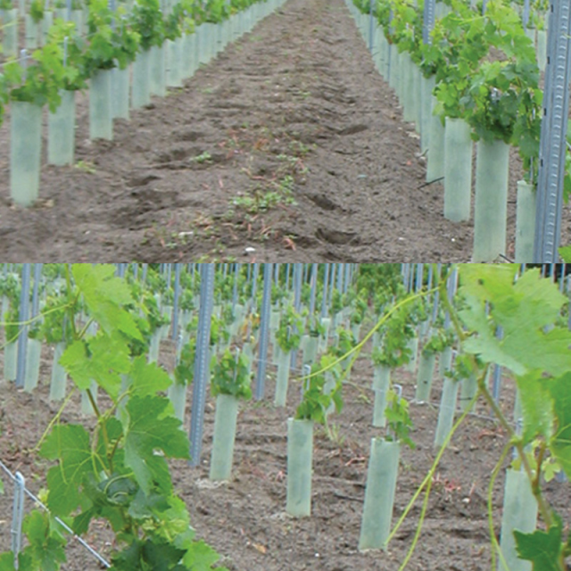 Polypropylene Material Corrugated Plastic Tree Protectors - Buy ...