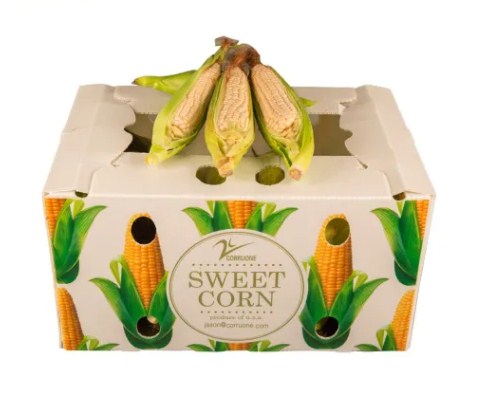 Polypropylene Corrugated Plastic Vegetable Box, Search Vegetable ...