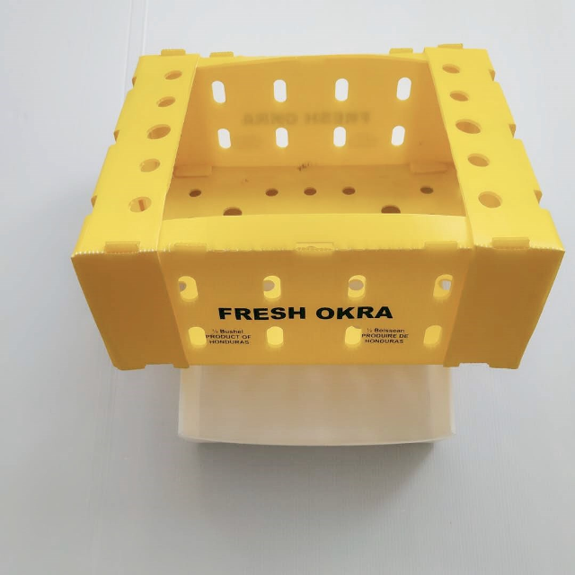 Polypropylene Cardboard Plastic Okra Packing Box, Search Okra Boxes ...