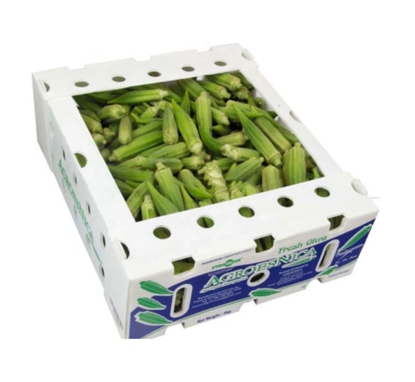 Polypropylene Cardboard Plastic Okra Packing Box, Search Okra Boxes ...