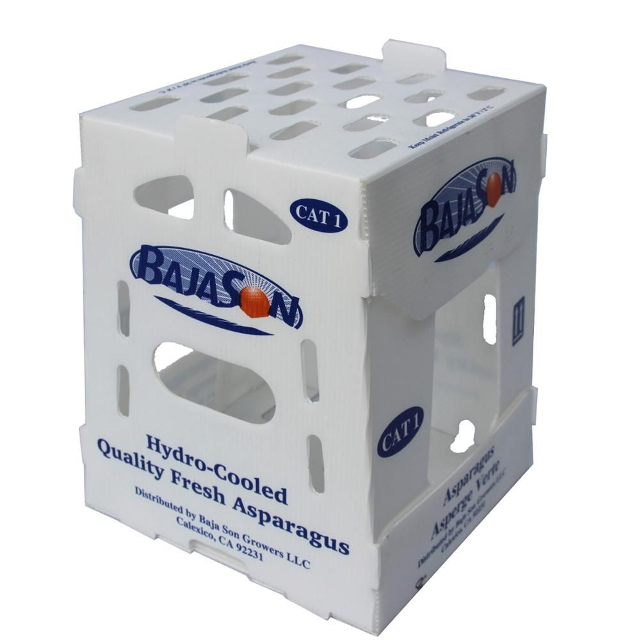 Polypropylene Plastic Cardboard Asparagus Boxes, Search Plastic ...