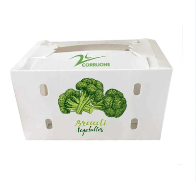 Polypropylene Corrugated Plastic Vegetable Box, Search Vegetable ...