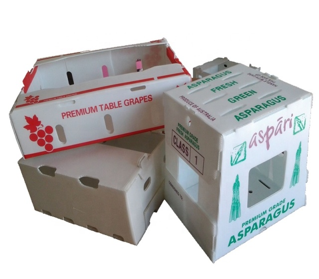 Polypropylene Corrugated Plastic Fruit Packing Box, Search Fruit ...