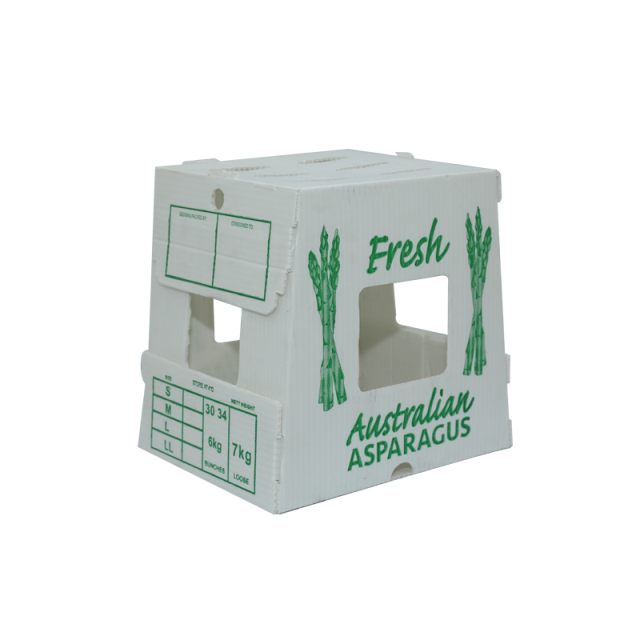 Corrugated Polypropylene Asparagus Box, Search Polypropylene Asparagus ...